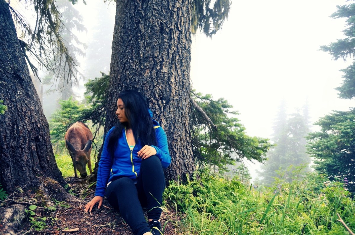 Encounters & Life Reminders from Hurricane Ridge | ☽ Of Wildest Heart